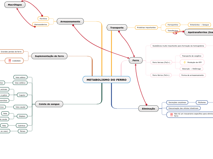 METABOLISMO DO FERRO - Mind Map
